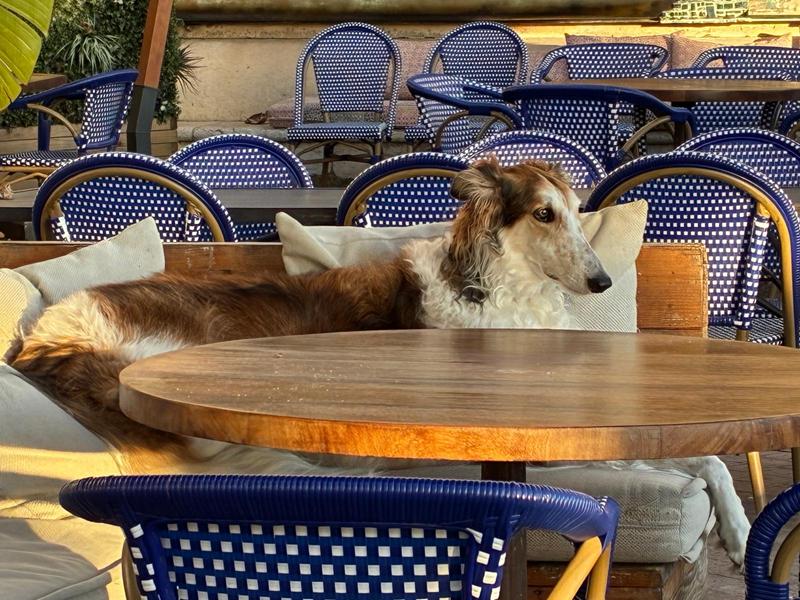 Le Cannet, il borgo dalle sette colline che racconta la storia della ...